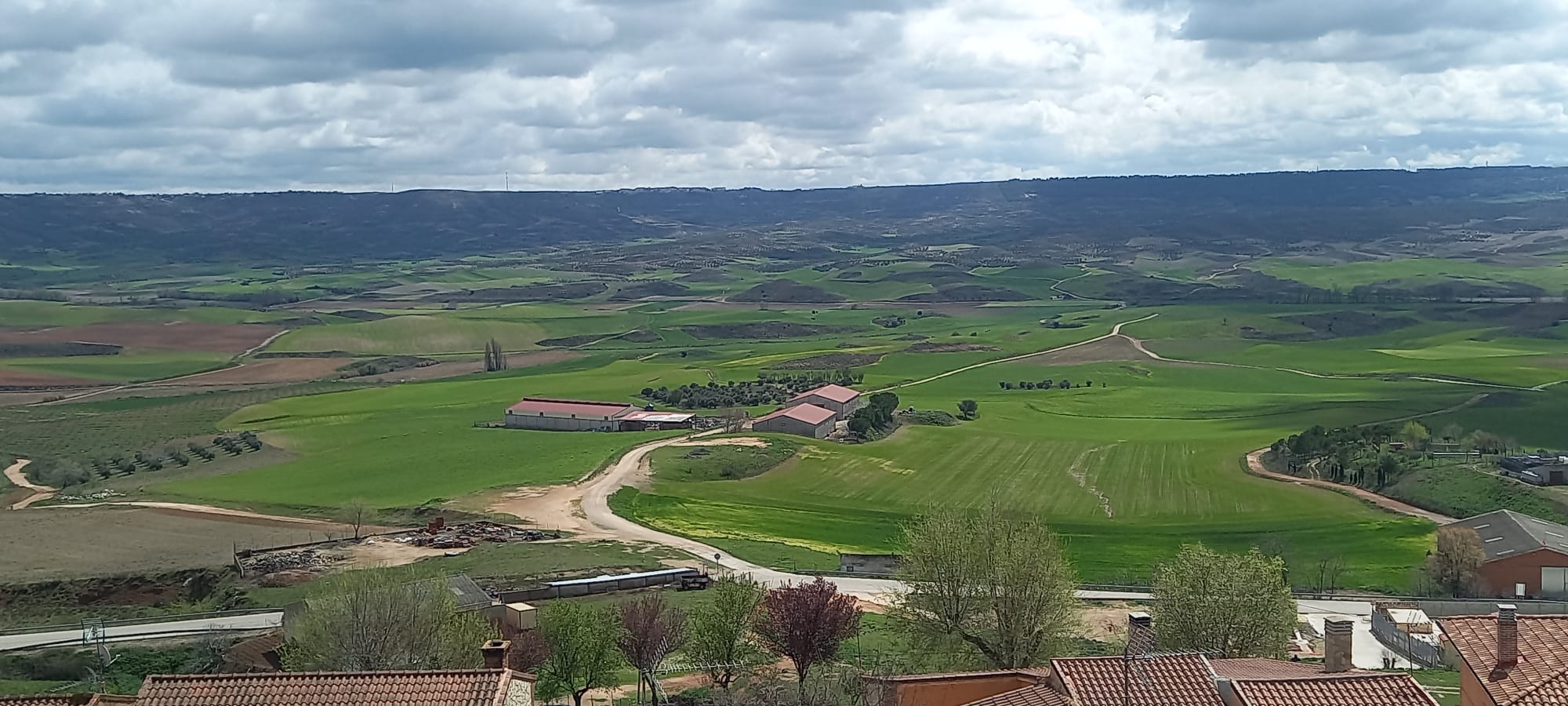 Ruta por la Alcarria. Torre del Burgo e Hita. 5 de abril de 2025 – La ...